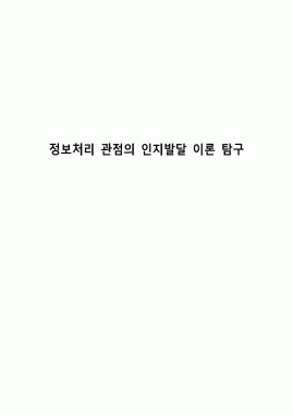 정보처리 관점의 인지발달 이론 탐구-1페이지