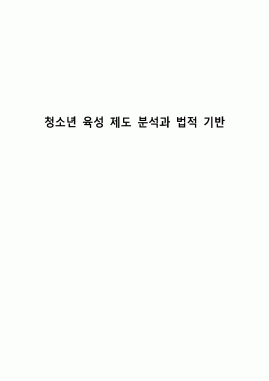 청소년 육성 제도 분석과 법적 기반-1페이지