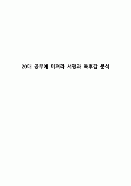 20대 공부에 미쳐라 서평과 독후감 분석-1페이지