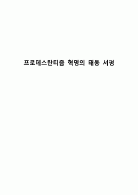 프로테스탄티즘 혁명의 태동 서평-1페이지