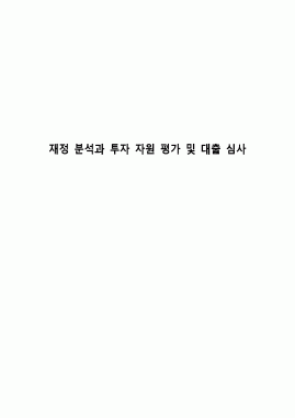재정 분석과 투자 자원 평가 및 대출 심사-1페이지