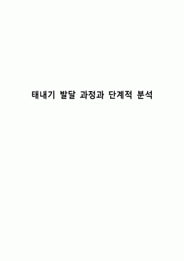 태내기 발달 과정과 단계적 분석-1페이지