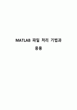 MATLAB 파일 처리 기법과 응용-1페이지