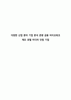 다양한 산업 분야 기업 분석 관광 금융 바이오테크 제조 호텔 미디어 닷컴 기업-1페이지