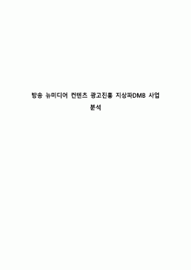방송 뉴미디어 컨텐츠 광고진흥 지상파DMB 사업 분석-1페이지