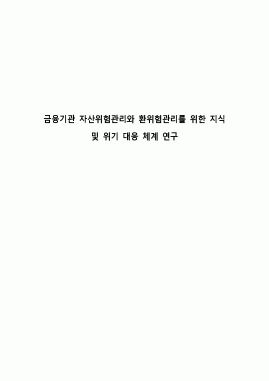 금융기관 자산위험관리와 환위험관리를 위한 지식 및 위기 대응 체계 연구-1페이지