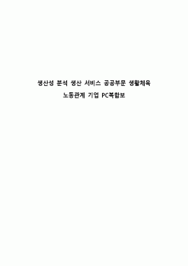 생산성 분석 생산 서비스 공공부문 생활체육 노동관계 기업 PC복합보-1페이지