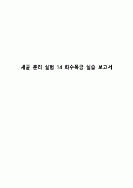 세균 분리 실험 14 화수목금 실습 보고서-1페이지