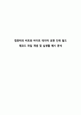 컴퓨터의 비트와 바이트 데이터 표현 단위 필드 레코드 파일 개념 및 실생활 예시 분석-1페이지