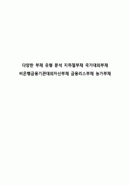 다양한 부채 유형 분석 지하철부채 국가대외부채 비은행금융기관대외자산부채 금융리스부채 농가부채-1페이지