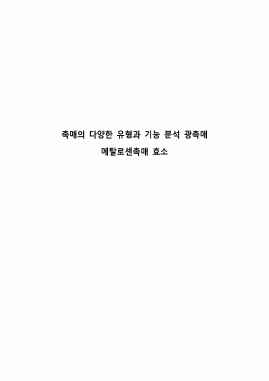 촉매의 다양한 유형과 기능 분석 광촉매 메탈로센촉매 효소-1페이지