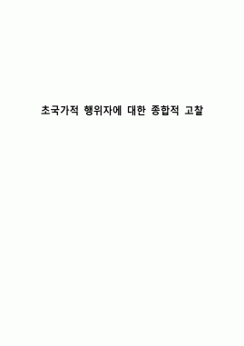 초국가적 행위자에 대한 종합적 고찰-1페이지