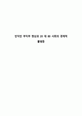 빈익빈 부익부 현상과 20 대 80 사회의 경제적 불평등-1페이지