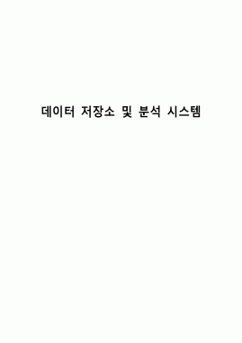 데이터 저장소 및 분석 시스템-1페이지