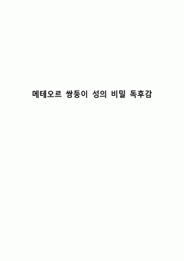 메테오르 쌍둥이 성의 비밀 독후감-1페이지