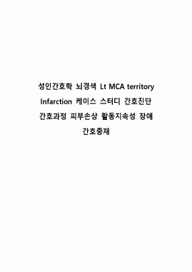성인간호학 뇌경색 Lt MCA territory Infarction 케이스 스터디 간호진단 간호과정 피부손상 활동지속성 장애 간호중재-1페이지