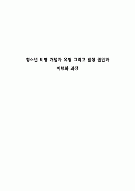 청소년 비행 개념과 유형 그리고 발생 원인과 비행화 과정-1페이지