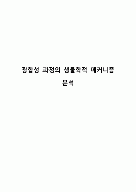 광합성 과정의 생물학적 메커니즘 분석-1페이지
