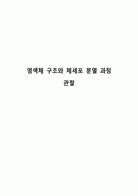 염색체 구조와 체세포 분열 과정 관찰-1페이지