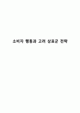 소비자 행동과 고려 상표군 전략-1페이지