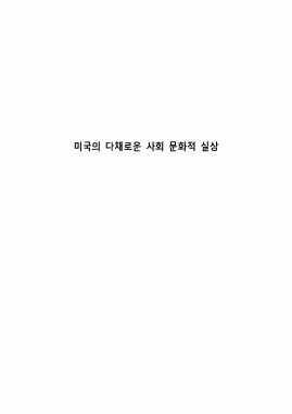 미국의 다채로운 사회 문화적 실상-1페이지