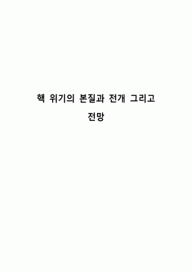 핵 위기의 본질과 전개 그리고 전망-1페이지