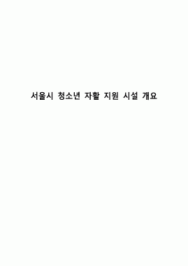 서울시 청소년 자활 지원 시설 개요-1페이지