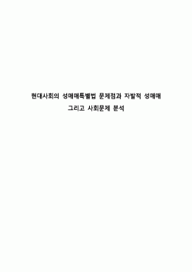 현대사회의 성매매특별법 문제점과 자발적 성매매 그리고 사회문제 분석-1페이지