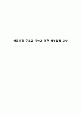 상피조직 구조와 기능에 대한 해부학적 고찰-1페이지