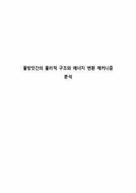 물방앗간의 물리적 구조와 에너지 변환 메커니즘 분석-1페이지