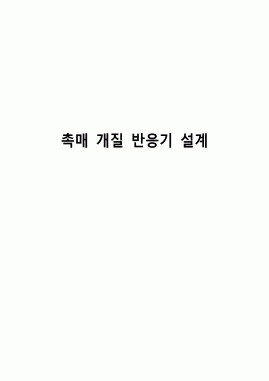 촉매 개질 반응기 설계-1페이지