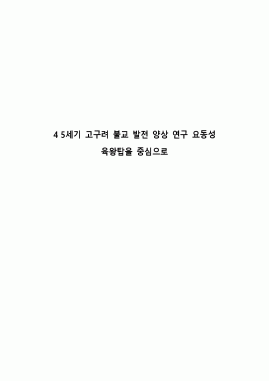 4 5세기 고구려 불교 발전 양상 연구 요동성 육왕탑을 중심으로-1페이지