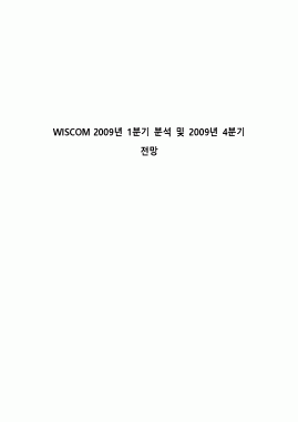 WISCOM 2009년 1분기 분석 및 2009년 4분기 전망-1페이지