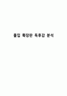 몰입 확장판 독후감 분석-1페이지