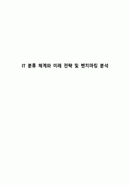 IT 분류 체계와 미래 전략 및 벤치마킹 분석-1페이지
