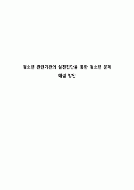 청소년 관련기관의 실천집단을 통한 청소년 문제 해결 방안-1페이지