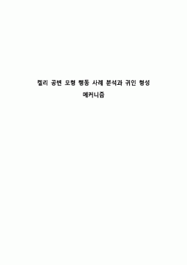 켈리 공변 모형 행동 사례 분석과 귀인 형성 메커니즘-1페이지