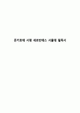 돈키호테 서평 세르반테스 서울대 필독서-1페이지