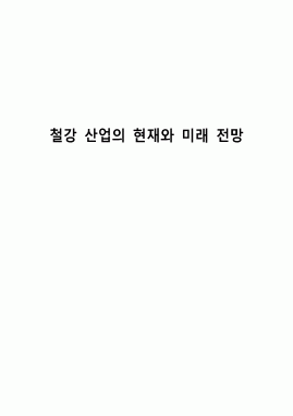 철강 산업의 현재와 미래 전망-1페이지