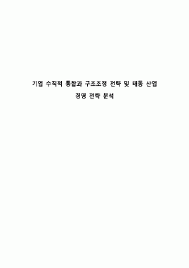 기업 수직적 통합과 구조조정 전략 및 태동 산업 경영 전략 분석-1페이지