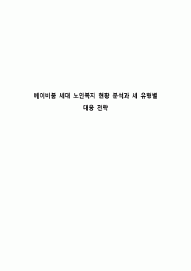 베이비붐 세대 노인복지 현황 분석과 세 유형별 대응 전략-1페이지