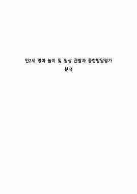 만2세 영아 놀이 및 일상 관찰과 종합발달평가 분석-1페이지