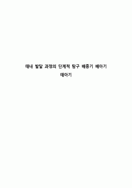 태내 발달 과정의 단계적 탐구 배종기 배아기 태아기-1페이지