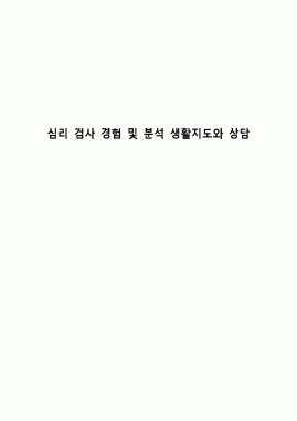 심리 검사 경험 및 분석 생활지도와 상담-1페이지