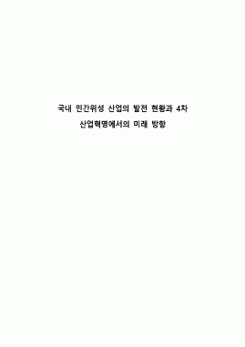 국내 민간위성 산업의 발전 현황과 4차 산업혁명에서의 미래 방향-1페이지