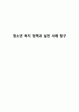 청소년 복지 정책과 실천 사례 탐구-1페이지
