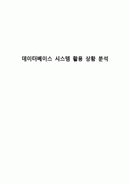 데이터베이스 시스템 활용 상황 분석-1페이지