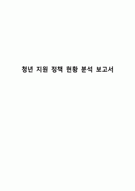 청년 지원 정책 현황 분석 보고서-1페이지