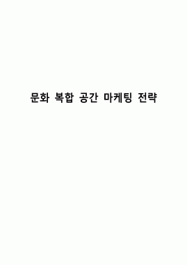 문화 복합 공간 마케팅 전략-1페이지