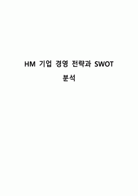 HM 기업 경영 전략과 SWOT 분석-1페이지